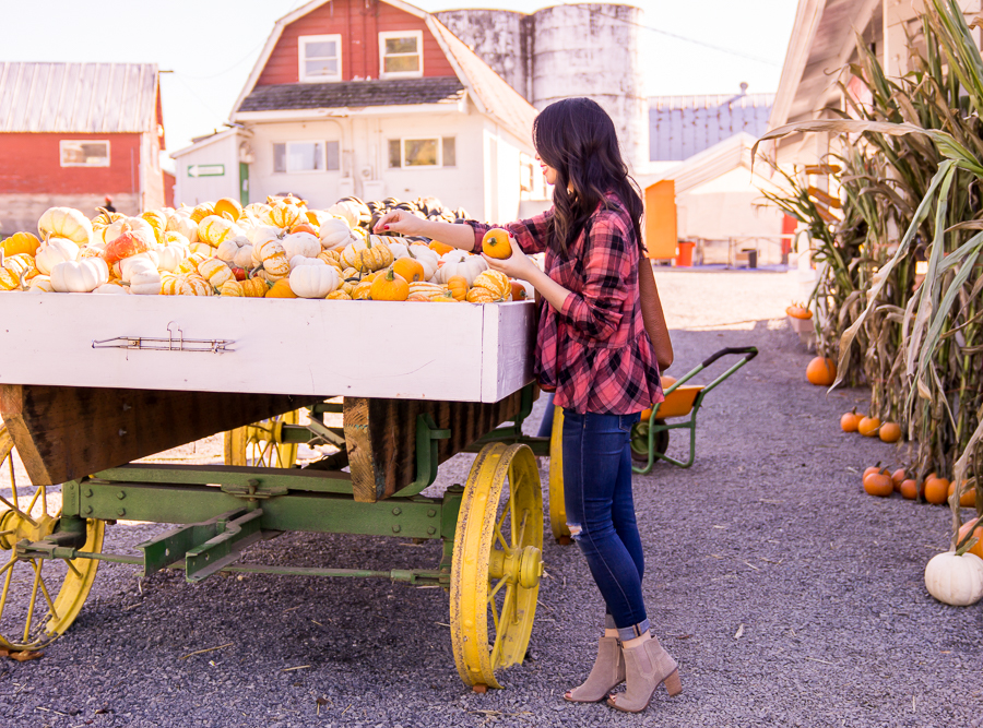 Plaid Pumpkin Patch Outfit - Our First Time At The Pumpkin Patch ...